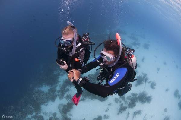 探索水肺潜水天堂：停泊岛 Padi 开放水域潜水员课程 Klook客路